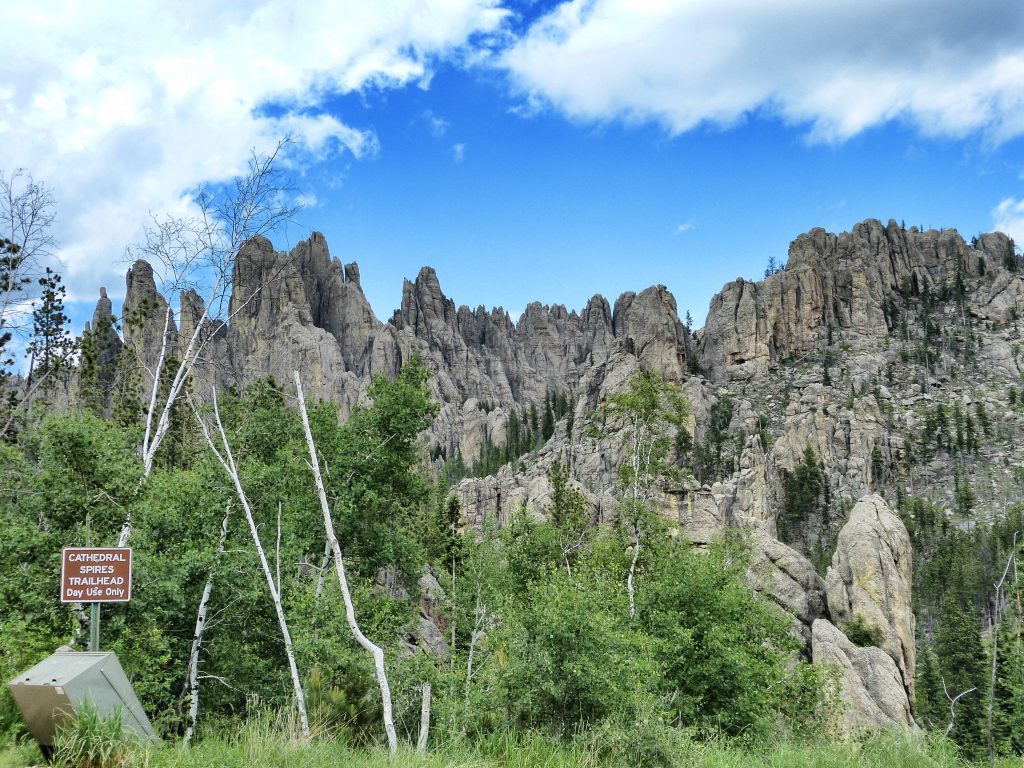 The Stunning Vistas of Needles Highway - Thirdeyemom