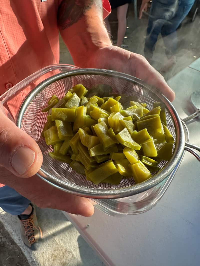 How a Cactus Cooking Class is helping preserve Los Cabos’ last ...