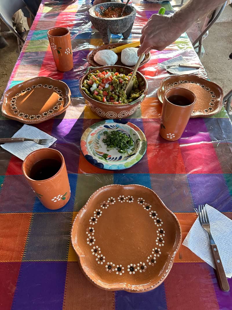 How a Cactus Cooking Class is helping preserve Los Cabos’ last ...